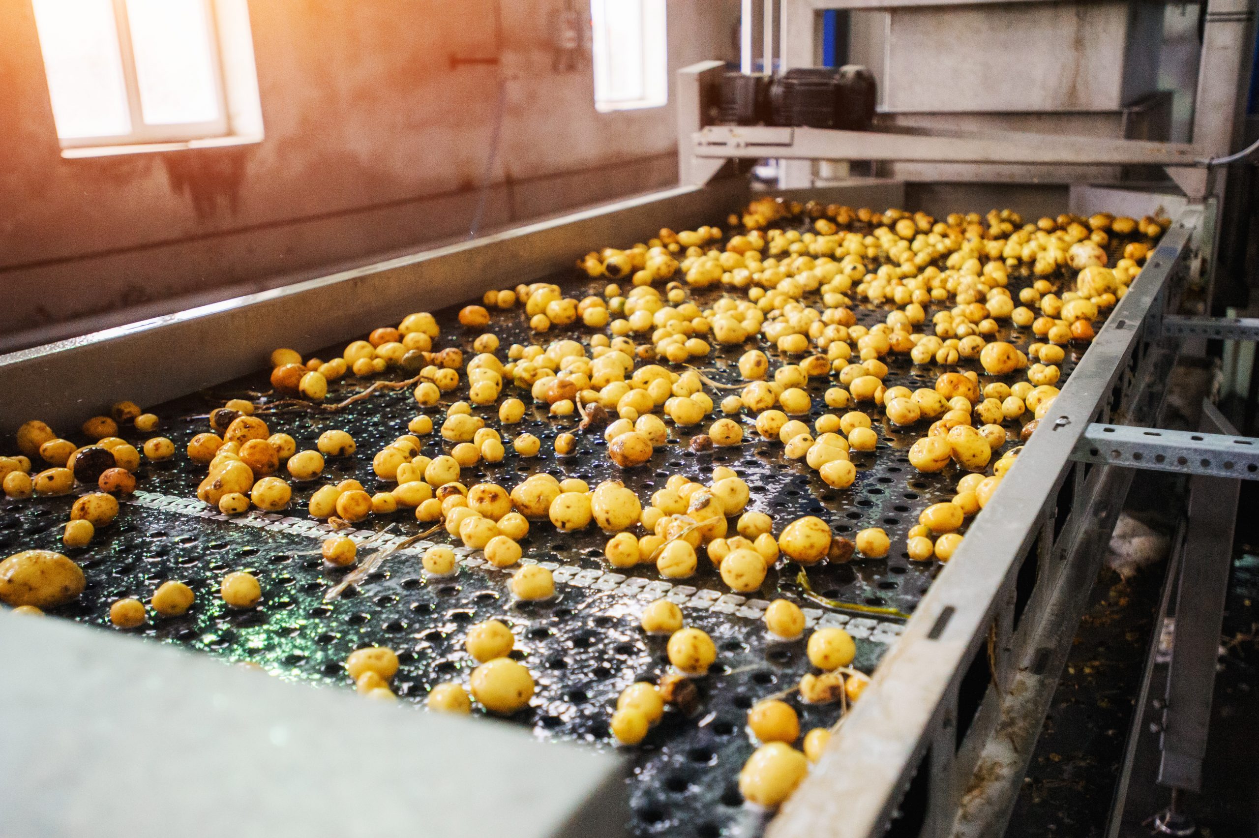 Food Processing Industry - sreusenergy.com